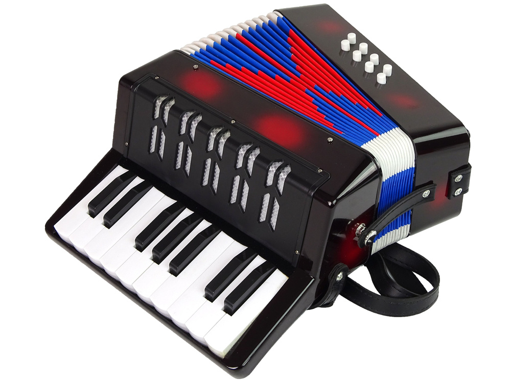 Accordion Musical Instrument for Kids Music Black | Toys \ Music and ...