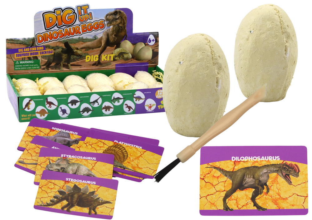 Archaeological Excavation Set Dinosaurs Eggs Cards 12 Pieces | Toys ...