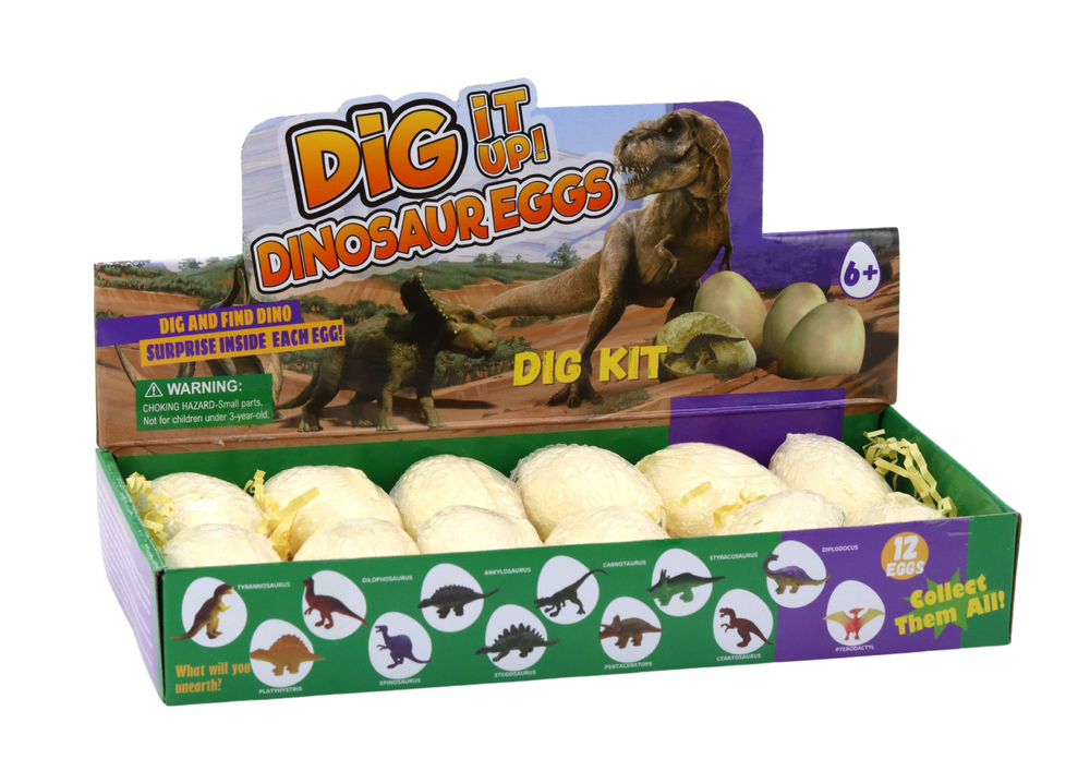 Archaeological Excavation Set Dinosaurs Eggs Cards 12 Pieces | Toys ...