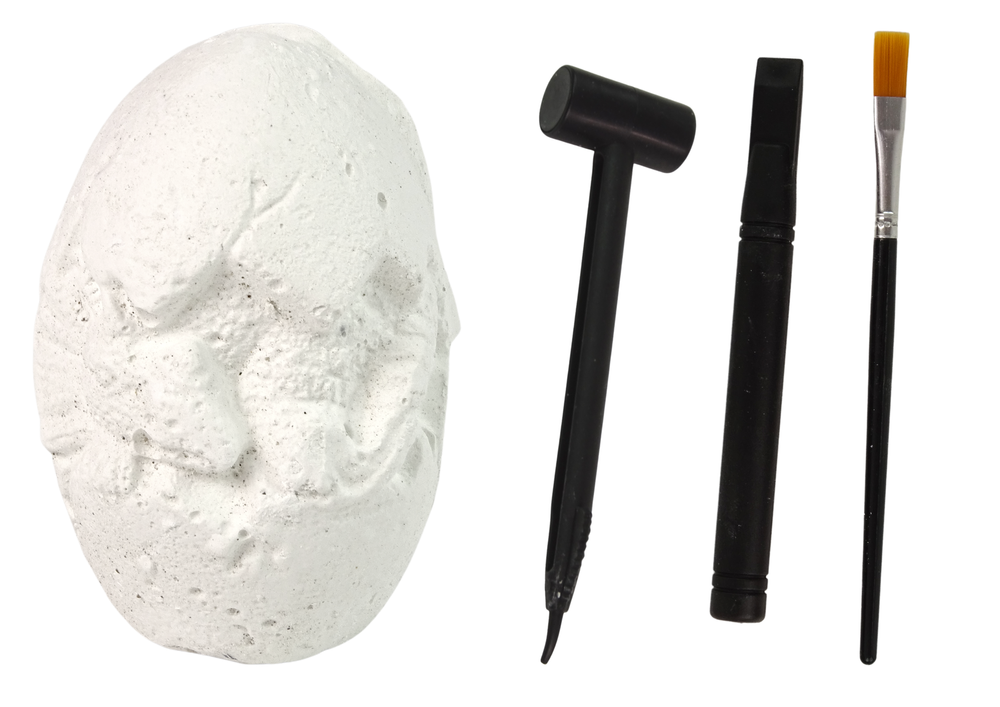 Archaeology Excavation Set Egg Dinosaur Surprise | Toys \ Educational ...