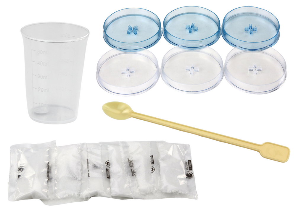 Creative Educational Kit for Growing Crystal Trees | Toys \ Creative ...