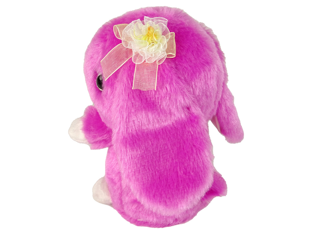 Dancing Rabbit Repeating Sounds Pink Music | Toys \ Toys of newborns
