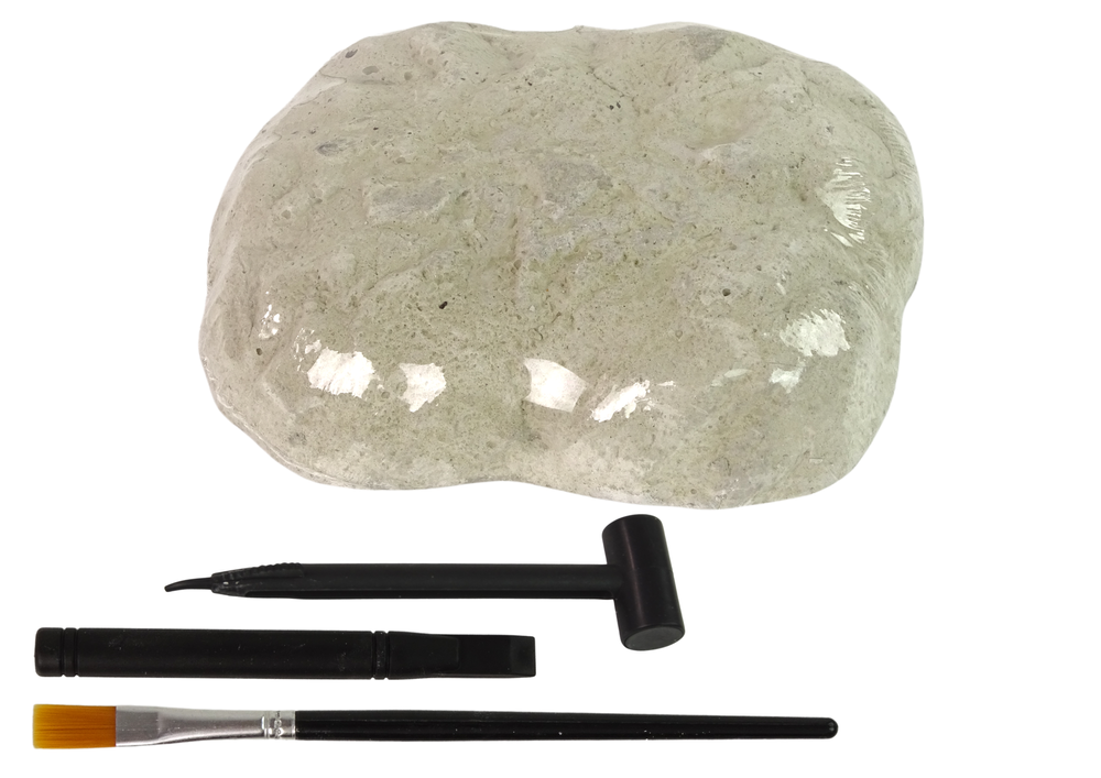 Dinosaur Excavation Set Spinosaurus Skeleton | Toys \ Educational toys