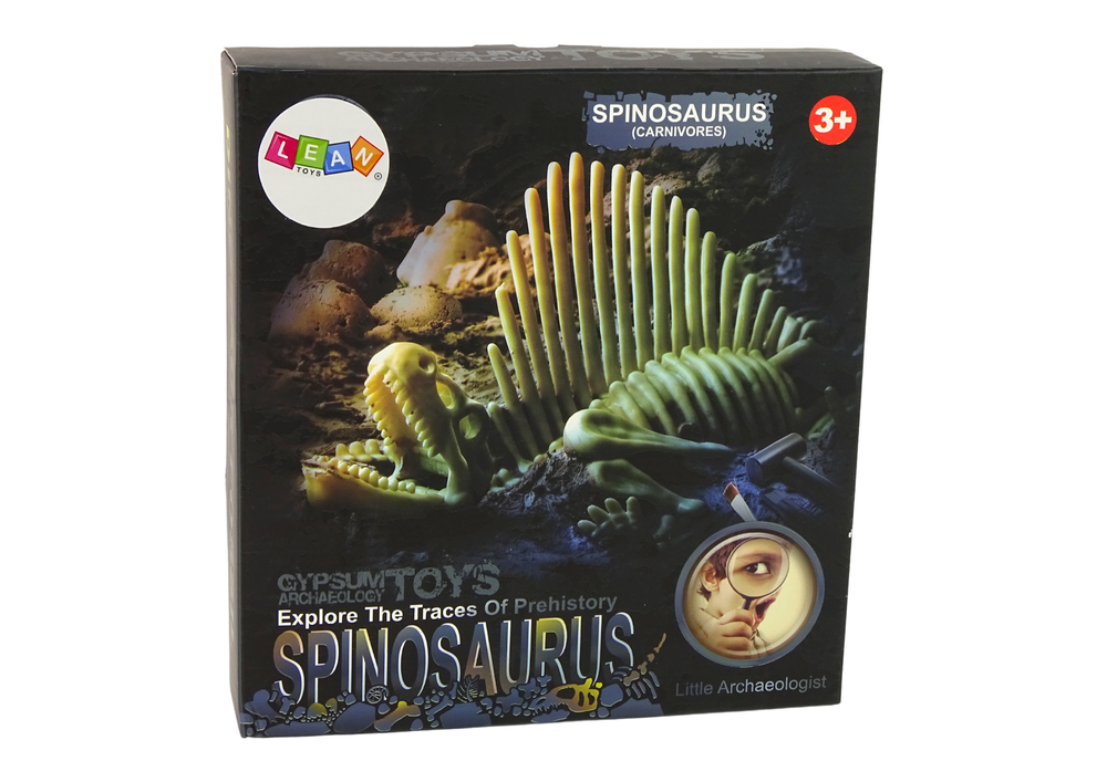 Dinosaur Excavation Set Spinosaurus Skeleton | Toys \ Educational toys