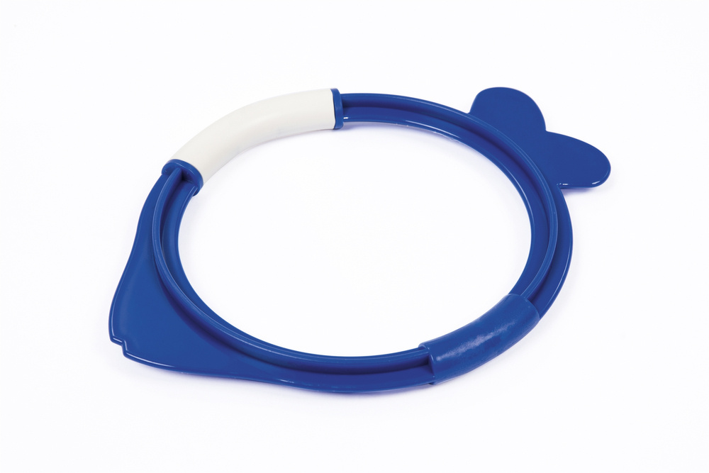 Diving Toys 4 Fish Bestway 26009 | Swimming Pools & Accessories ...