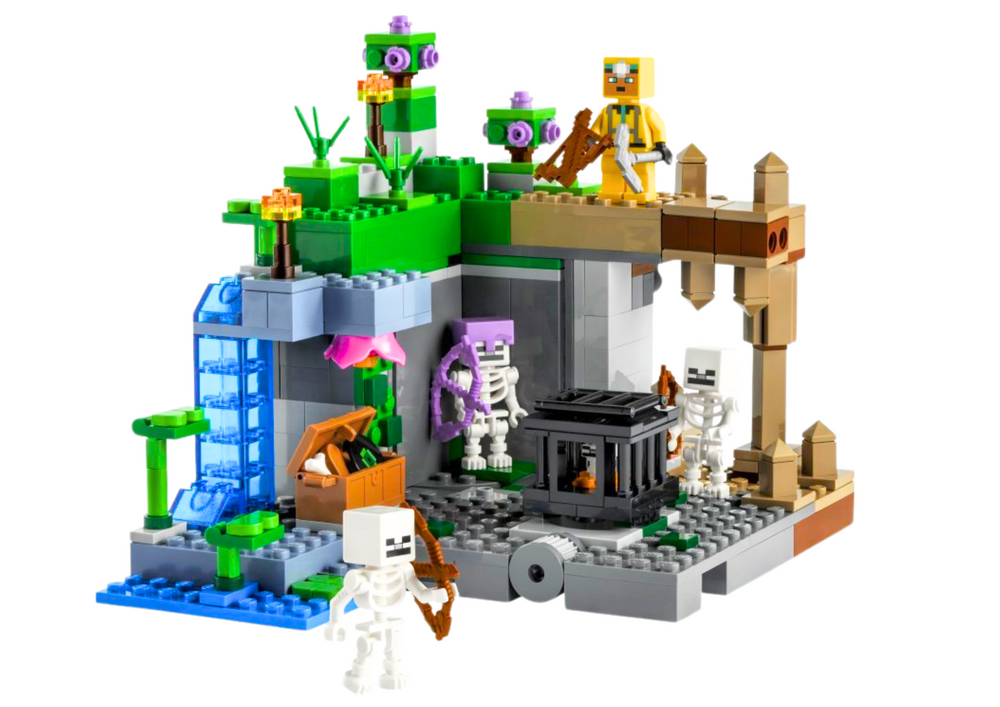LEGO MINECRAFT Skeleton Dungeons 21189 | Toys \ Building blocks ...