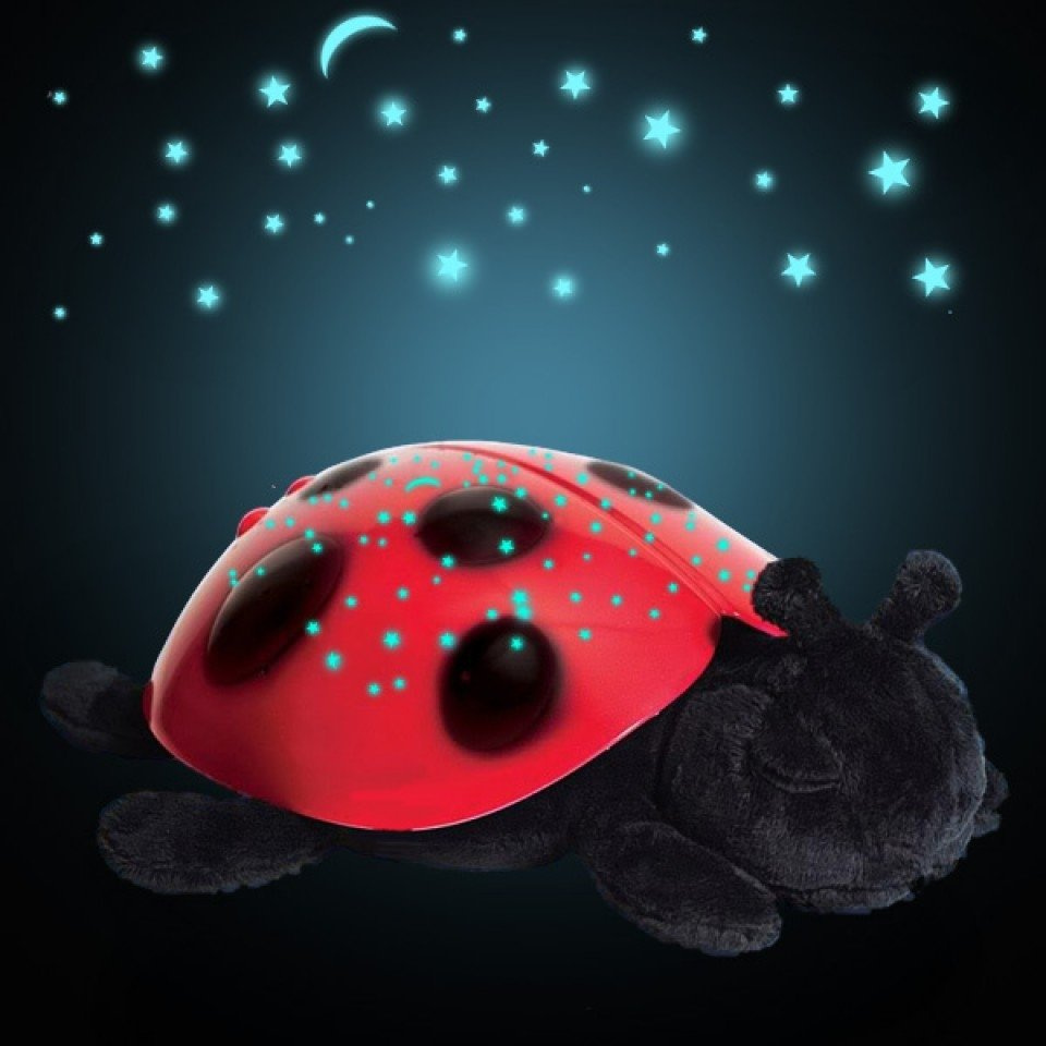 Ladybug Night Ceiling Projector Shade Lamp | Toys \ Toys of newborns ...