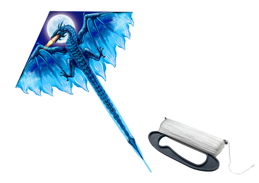 Large Dragon Kite Blue Long Tail 170cm x 130cm | Toys \ Outdoor toys ...