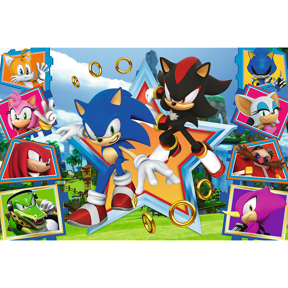 Puzzle - "100" - Meet Sonic Trefl 16465 | Toys \ Jigsaw & puzzle New ...