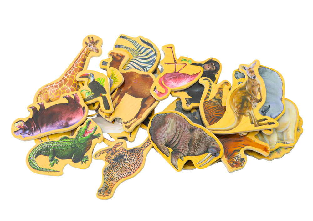 Set of Wooden Magnets Animals 20 Pieces Colorful | Toys \ Zabawki ...