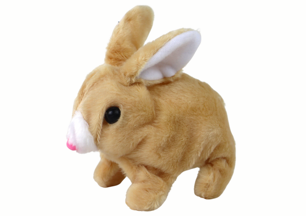 Walking Bunny Interaktives Spielzeug Kurzes Haar Beige | Spielzeug ...