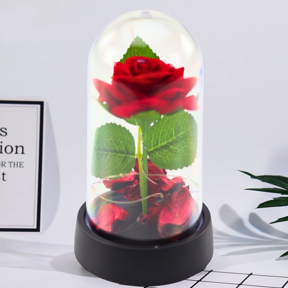 Eternal Rose in Dome with LED Lighting Red with Rose Petals 14x8cm ...